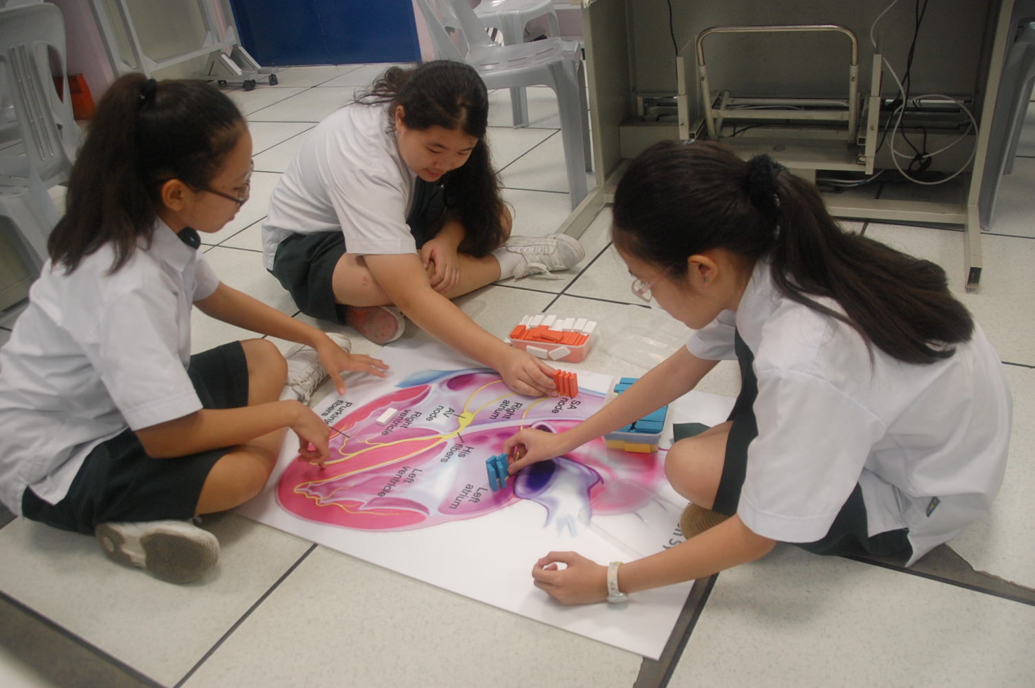 Applied Learning Programme